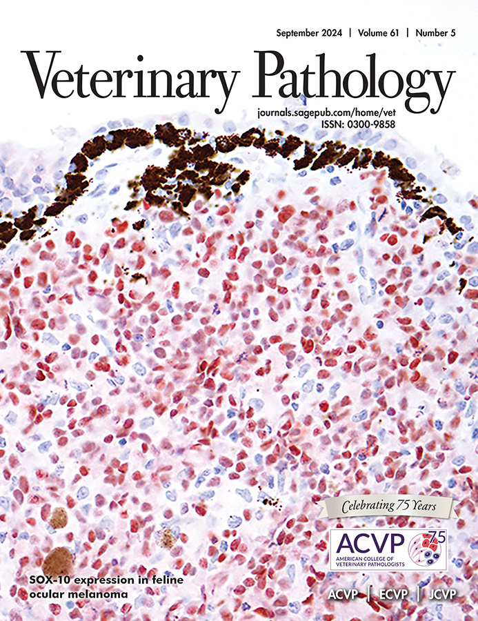 Homepage ECVP | ECVP