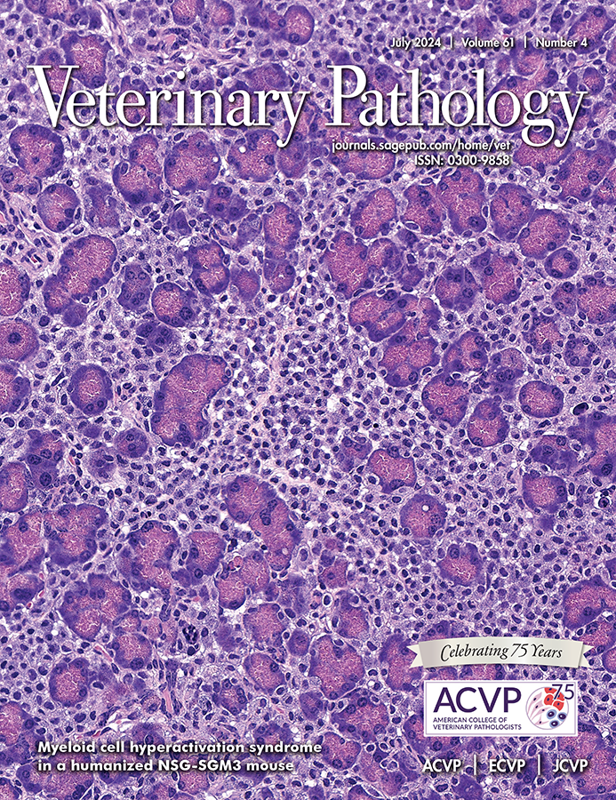 Homepage ECVP | ECVP