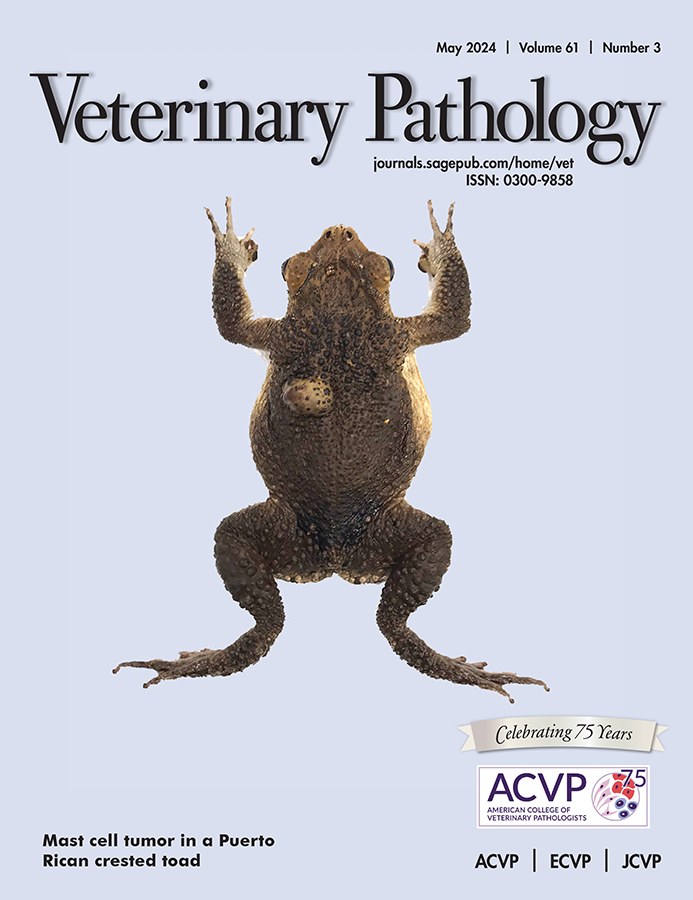 Homepage ECVP | ECVP